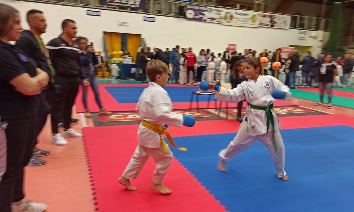 A Vibo Valentia il “Gran premio giovanissimi di Karate” - Video A Vibo Valentia il “Gran premio giovanissimi di Karate” - Video
